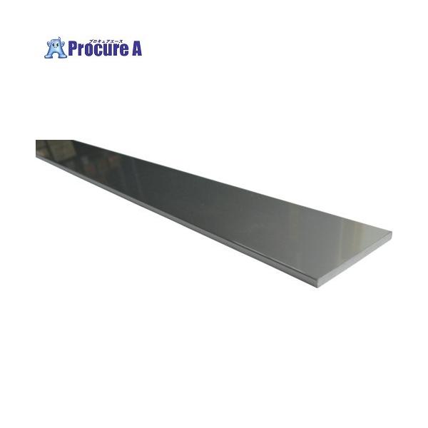 【代引決済不可】【送料都度見積】 ※車上渡し※個人宅様送り不可 ●幅(mm)：10●長さ(mm)：2000●厚さ(mm)：3.0●色：シルバ−ツヤ有