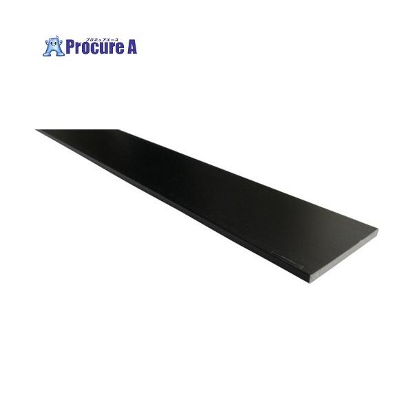 ※車上渡し※個人宅様送り不可 ●幅(mm)：40●長さ(mm)：2000●厚さ(mm)：3.0●色：ブラック