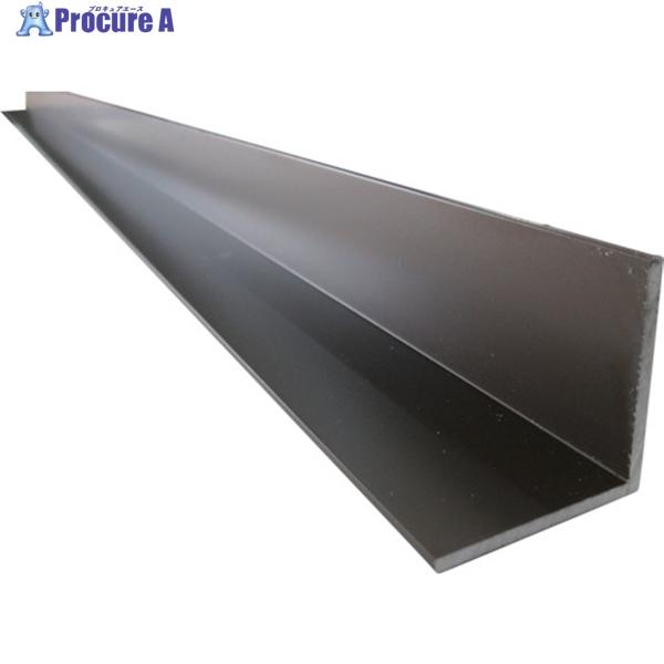 ※個人宅様送り不可 ●縦(mm)：19●横(mm)：19●厚さ(mm)：1.0●全長(mm)：1000●表面処理：アルマイト●色：ブロンズツヤ有