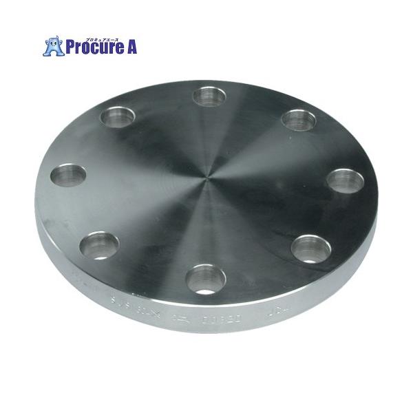 【代引決済不可】【送料都度見積】 ※車上渡し ●呼び径A：250●呼び径B：10●外径(mm)：400●厚さ(mm)：24●ボルト穴数(個)：12●ボルト穴径(mm)：25●使用圧力(K)：10