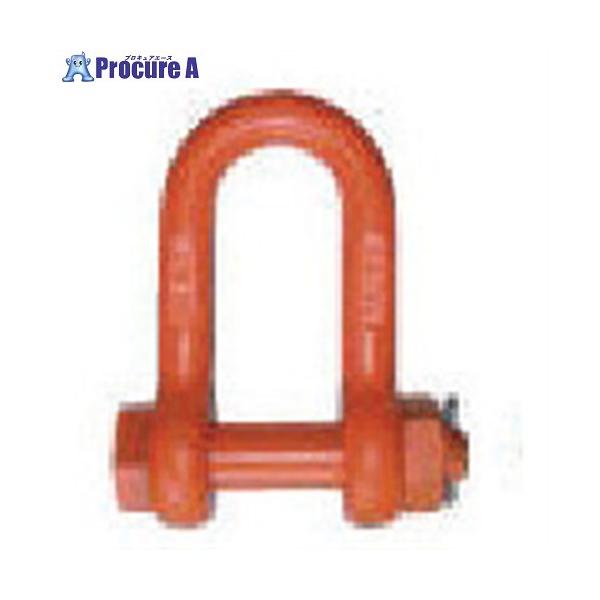 ※個人宅様送り不可 ●基本使用荷重(t)：100●寸法(mm)B：200●寸法(mm)t：105●寸法(mm)d3：110●寸法(mm)D：235●寸法(mm)L：510●寸法(mm)d1：105