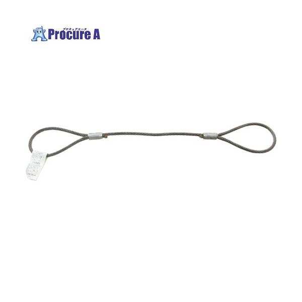 ※個人宅様送り不可 ●全長(m)：4●スリング径(mm)：6●ワイヤー径(mm)：6●アイ寸法(mm)：160×80