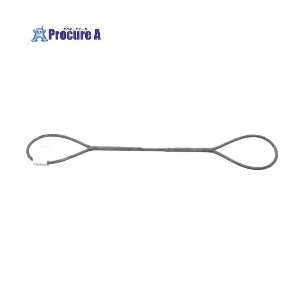 ※個人宅様送り不可 ●安全使用荷重2本垂直吊り(t)：0.603●全長(m)：5●スリング径(mm)：6●アイ寸法(mm)：160×80●長さ(m)：5●ワイヤ径(mm)：6