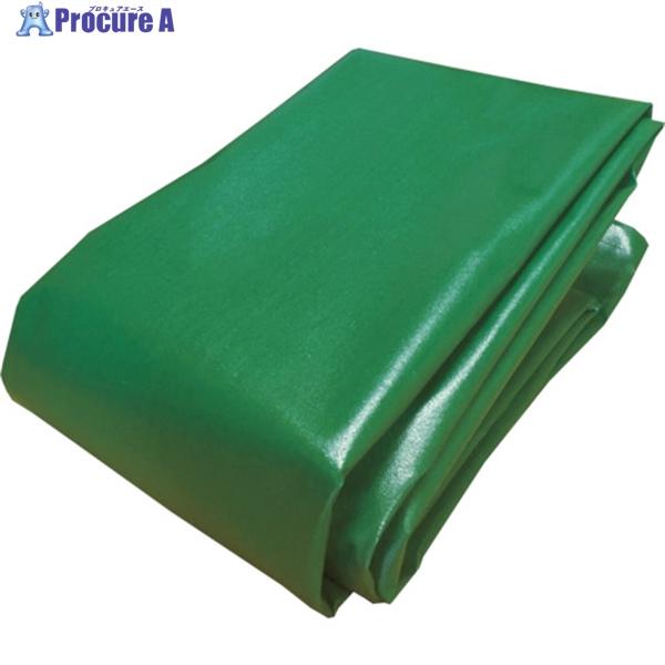 ●色：グリーン●幅(m)：2.45●長さ(m)：4.75●厚さ(mm)：0.64●ハトメ数(個)：26●ハトメピッチ(cm)：60×52●耐久期間：約2〜3年●引張強度：縦2410N/5センチ、横1970N/5センチ●適合車種：2tトラック...