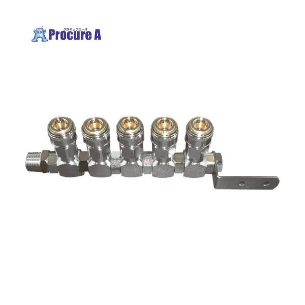 ●分岐数：5●取入口：R1/2●使用流体：圧縮空気a