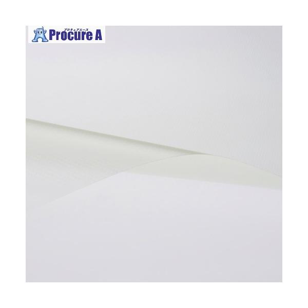 ●幅(m)：0.297●長さ(m)：0.42●厚さ(mm)：0.124●色：透明●パターン：カーボン平織り●透明感：マット(透明)