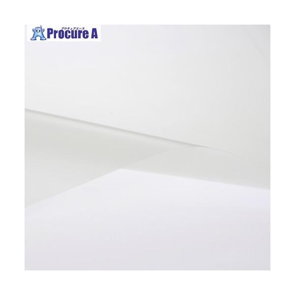 ●幅(m)：0.297●長さ(m)：0.42●厚さ(mm)：0.125●色：半透明●パターン：サトルモザイク●透明感：シュクレ(半透明)