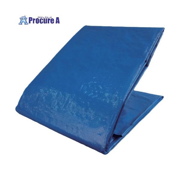 ●幅(m)：1.71●長さ(m)：2.57●番手(#)：2000●ハトメ数(個)：10●ハトメピッチ(cm)：90●色：ブルー