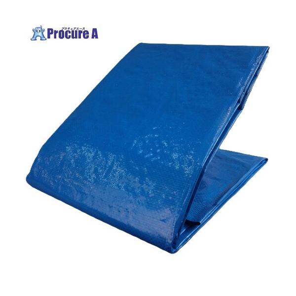 ※車上渡し ●幅(m)：2.57●長さ(m)：3.44●番手(#)：2000●ハトメ数(個)：14●ハトメピッチ(cm)：90●耐久期間：約3〜6ヵ月●色：ブルー