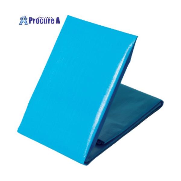 ●幅(m)：1.72●長さ(m)：1.70●厚さ(mm)：0.25●番手(#)：3000●ハトメ数(個)：8●ハトメピッチ(cm)：90●耐久期間：約1年●引張強度：縦610N/5cm、横480N/5cm●引裂強度：縦100N、横70N●横...