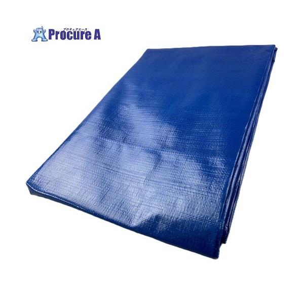 ●幅(m)：1.7●長さ(m)：1.7●厚さ(mm)：0.25●番手(#)：3400●ハトメ数(個)：8●ハトメピッチ(cm)：90●耐久期間：約1.5〜2年●引張強度：縦540N/5cm、横470N/5cm●色：ブルー