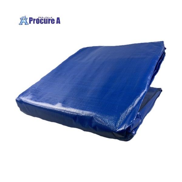 ●幅(m)：5.2●長さ(m)：７●厚さ(mm)：0.25●番手(#)：3400●ハトメ数(個)：28●ハトメピッチ(cm)：90●耐久期間：約1.5〜2年●引張強度：縦540N/5cm、横470N/5cm●色：ブルー