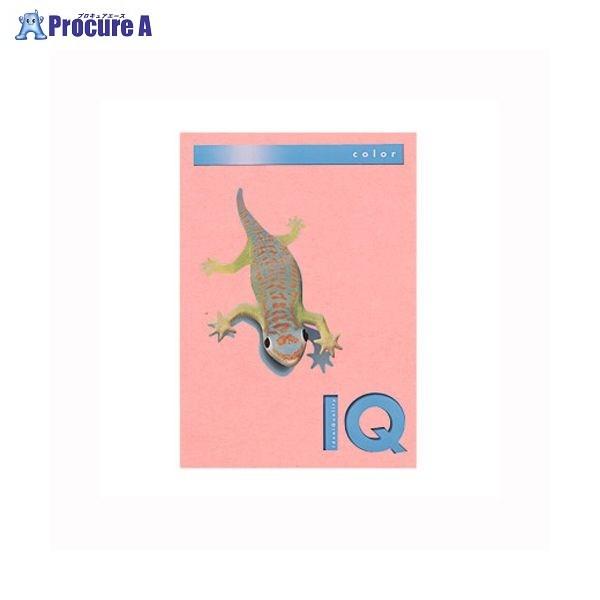 ＰＣ関連用品 ＯＡ用紙 コピー用紙（カラー用紙） (株)伊東屋