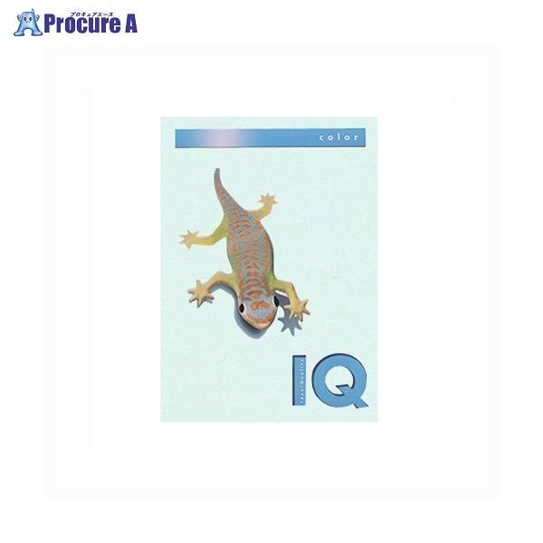 ＰＣ関連用品 ＯＡ用紙 コピー用紙（カラー用紙） (株)伊東屋