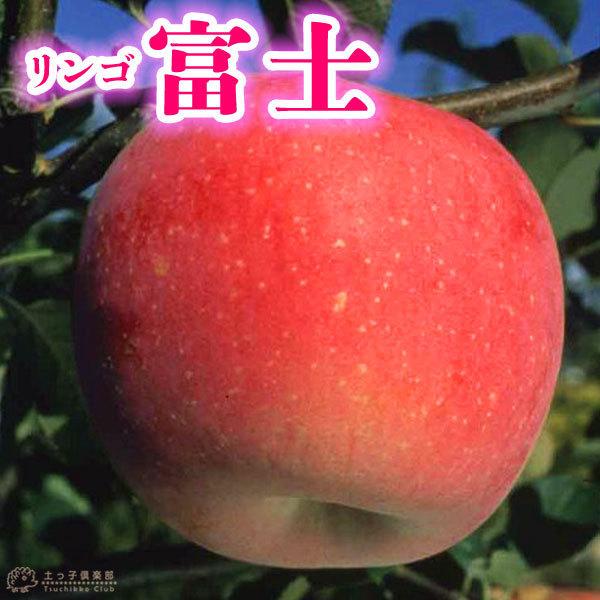 世界的には、古くから栽培されている果樹ですが、日本で本格的に栽培されたのは、比較的新しく明治時代になってからといいます。数千種類の品種があるそうです。果樹としてではなく、観賞樹としての栽培も盛んです。「アルプス乙女」などの自家結実性のある品...