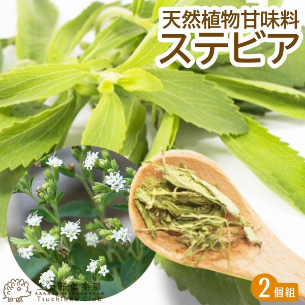 ステビアは、砂糖のかわりになる天然甘味料としてしられ、葉を摘んで噛むだけで香りと甘みが広がります。砂糖の300倍の甘みがあり、しかもカロリーは90分の1。低カロリーのダイエット甘味料として近年注目されています。そのままハーブティーにしたり、...