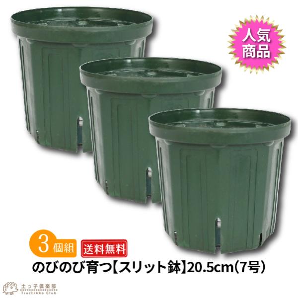 スリット鉢は、根詰り防止、サークリング現象防止の画期的な鉢です。苗木の生産では、空気と水の流れがよく健全な根を保てるので広く使われています。家庭園芸やガーデニングでも、鉢上げや鉢替えの回数がぐんと減ります。植物管理がしやすいし、果樹、花木、...