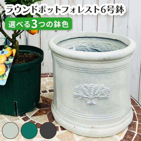 おしゃれで軽く割れにくい〈ファイバーセメント鉢シリーズ〉