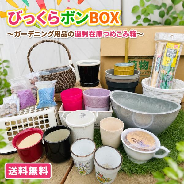 （商品情報）プラ鉢、鉢カバー、園芸雑貨、園芸資材などの過剰在庫をつめこみました！箱の中身は届いてからのお楽しみ♪過剰在庫ですが、箱の中身の総額は10,000円を軽く超えております。ガーデニングがお好きな勇気のある方にはとってもお得なボックス...