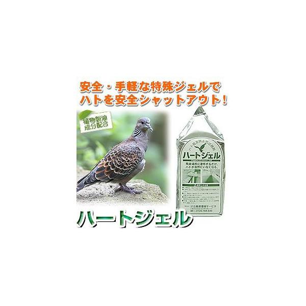 【優良配送】【あすつく】ベタベタした不快感と特殊成分が、ハトの飛来を防止します。植物製油成分配合（天然成分）のみを配合し、人と自然にやさしい忌避剤に仕上げました。ハトが留まる場所にジェルを塗りつけるだけなので建物の美観は保たれ、効果は1年間...