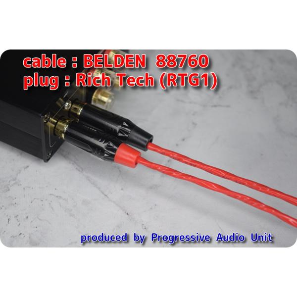 ■ ケーブル：BELDEN製 88760世界中で使用されているBelden8412のスピリットを継承するアナログ専用の芯線回りから外皮まで、全てテフロンで絶縁されたオーディオ用で4mm程のケーブルです。■ RCAコネクター：Rich Tec...
