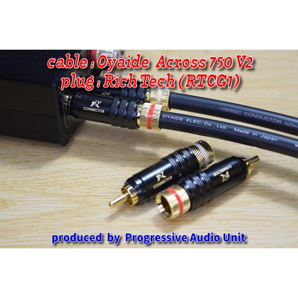 ■ ケーブル：オヤイデ製 Across750 V2言わずと知れたオヤイデ電気の製品であり、品質に疑う余地はありません。精密導体“102SSC”によって徹底的に磨き上げられ、新たなテイストを纏ったオヤイデの自信作です。■ RCAコネクター：R...