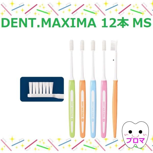 ●超薄型ヘッドでワンステップ上のTBIにお奨め！！●超薄型コンパクトヘッド、ロング&amp;スリムネックで最後臼歯遠心面まで楽に毛先が届きます。持ちやすく滑りにくい弾力ラバーグリップ。最後臼歯部までもっと楽に！もっとキレイに！●歯周病や知覚...