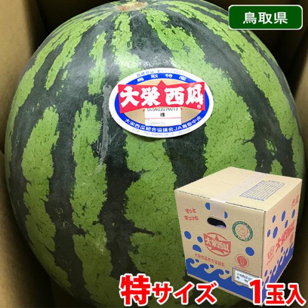 鳥取を代表するスイカの産地「北栄町（旧大栄町）」で栽培された大玉スイカです。シャリっとした食感と甘さ、みずみずしさたっぷりな鳥取西瓜（スイカ）をぜひお楽しみください。鳥取県北栄町（旧大栄町）のスイカは、栽培がはじまってから100年以上と歴史...