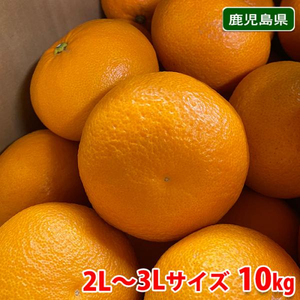 鹿児島ブランドの紅甘夏は、紅の濃い果皮とオレンジ色の果肉が特徴です。収穫後2〜3カ月貯蔵し、糖度がのってから出荷されます。普通の甘夏に比べ甘みが強く、表皮の色が甘夏に比べ薄く紅色がかったような色をしています。果実の大きさや皮の厚みなどは普通...