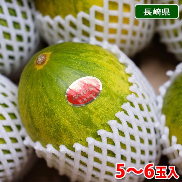 果実の表皮にネットがなくつるっとした楕円形のメロン。果皮の色や形がパパイヤに似ていることでこのような名前がつけられています。パパイヤメロンは主に九州で栽培されており、長崎県南島原市産のものが有名。果肉は白く、味はさっぱりとしててシャキシャキ...