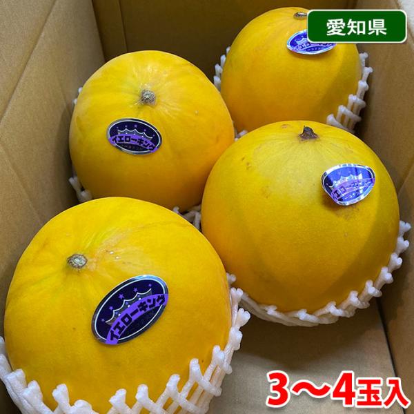 皮は黄色くツルツルしていて、果肉は白く、まろやかな甘みのあるメロンです。色鮮やかな黄色い果皮が特徴。