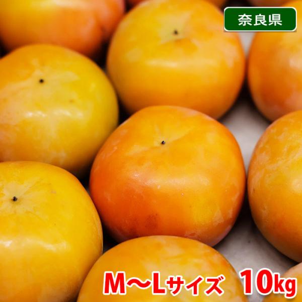 富有柿（ふゆうがき）とは完全甘柿の品種の一つで、現在柿の中で最も多く生産されている品種です。主に西日本で多く作られている品種ですが、最も多い生産量を誇るのは奈良県です。※12月中頃から冷蔵貯蔵（個袋入）に切り替わります。冷蔵貯蔵の富有柿は固...