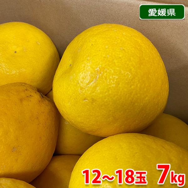 「御荘ゴールド（みしょうゴールド）」は文旦系の晩柑類「河内晩柑」の別称。熊本生まれの河内晩柑は産地により色々な名称がつけられて販売されていますが、全て同じみかんです。愛媛県産のものは「美生柑（みしょうかん）」、「宇和ゴールド」、「灘オレンジ...