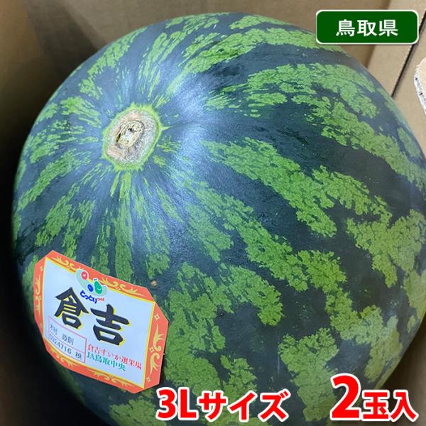 鳥取県・倉吉市産のすいかです。大玉で甘みたっぷり。味にばらつきがなくおすすめのフルーツです。鳥取県はスイカの生産に適した風土で、産地の出荷時期（旬の時期）は毎年4〜6月頃です。※無印は、少し表皮にキズ・擦れがあったり、形状がいびつなB等級品...
