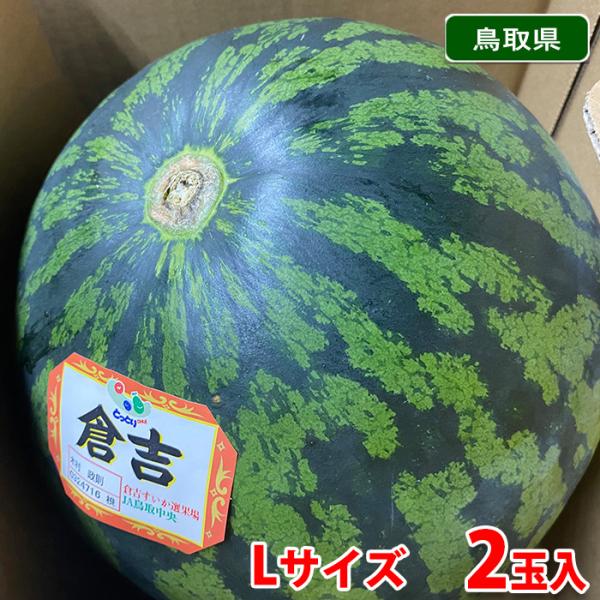 鳥取県・倉吉市産のすいかです。大玉で甘みたっぷり。味にばらつきがなくおすすめのフルーツです。鳥取県はスイカの生産に適した風土で、産地の出荷時期（旬の時期）は毎年4〜6月頃です。