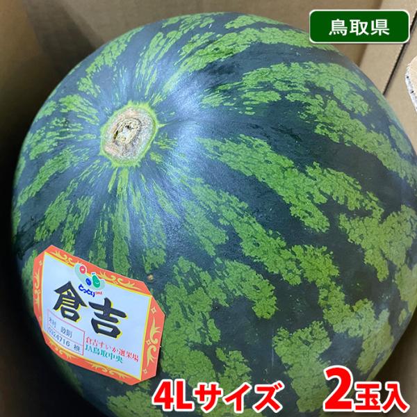 鳥取県・倉吉市産のすいかです。大玉で甘みたっぷり。味にばらつきがなくおすすめのフルーツです。鳥取県はスイカの生産に適した風土で、産地の出荷時期（旬の時期）は毎年4〜6月頃です。