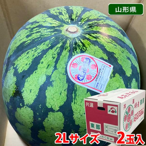 夏スイカの生産量日本一を誇る、山形県の名産品「尾花沢すいか」。糖度11〜13度以上あり、おいしいと評判のスイカです。シャリシャリ感があり、果肉がしっかりとつまっていて、とても甘みがあります。【A等級】お中元や贈答用・ギフトにおすすめです。【...
