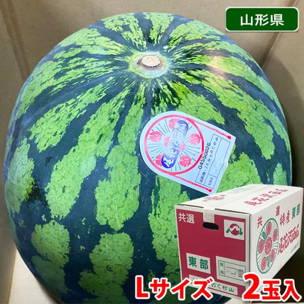 夏スイカの生産量日本一を誇る、山形県の名産品「尾花沢すいか」。糖度11〜13度以上あり、おいしいと評判のスイカです。シャリシャリ感があり、果肉がしっかりとつまっていて、とても甘みがあります。【A等級】お中元や贈答用・ギフトにおすすめです。【...