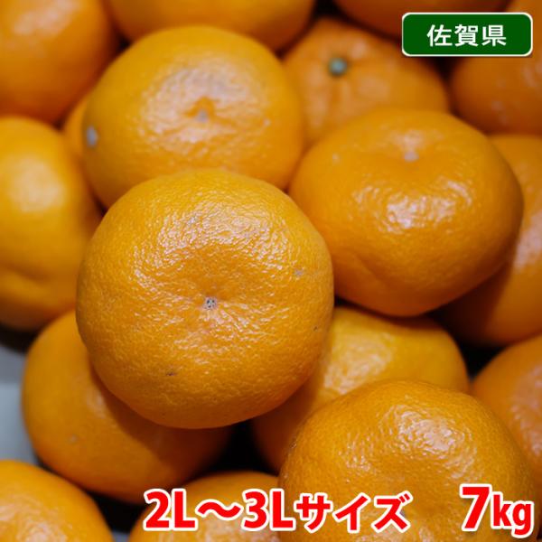 熟成させた「蔵出しあんみつみかん」です。一般的なみかんに比べて糖度が高い特選ブランド『あんみつみかん』。マルチ栽培で作られたみかんの中から、見た目がよいみかんを選別しています。※蔵出し熟成みかんですが、箱に「蔵出し」と記載のない場合がありま...