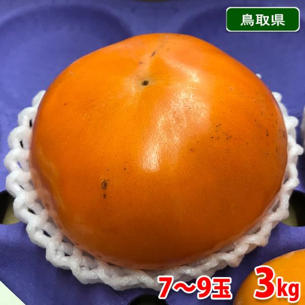 鳥取県産柿の新品種「輝太郎（きたろう）」は、市場にもあまり出回らない希少な柿です。早生の大玉品種ですが、糖度は17度以上と高く甘みがあり、食感もしっとり・しっかりしているのが特徴です。旬の時期は、１０月初旬〜中旬頃までです。