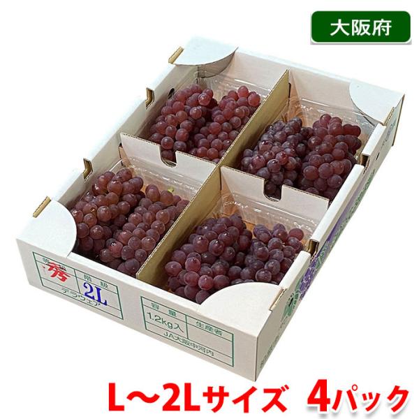 小粒の種なしぶどう品種「デラウエア（デラウェア）」は、糖度が高く酸味が少ない、また果皮も薄いのでお子様でも食べやすいと人気です。大阪はぶどう栽培が盛んで、その中でも柏原市、交野市、枚方市などで栽培されるデラウエアは、収穫量全国第３位です。４...