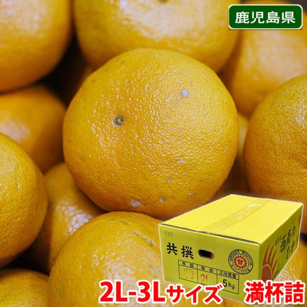 『西南のひかり』 は温州みかんのように手で皮をむいて、袋（じょうのう膜）ごと食べられます。温州みかんのような扁円形で、じょうのう膜（袋）も薄く、タネも少なめです。果肉は果汁を豊富に含み、ソフトな口当たりで、甘味と酸味のバランスがよいのが特徴...