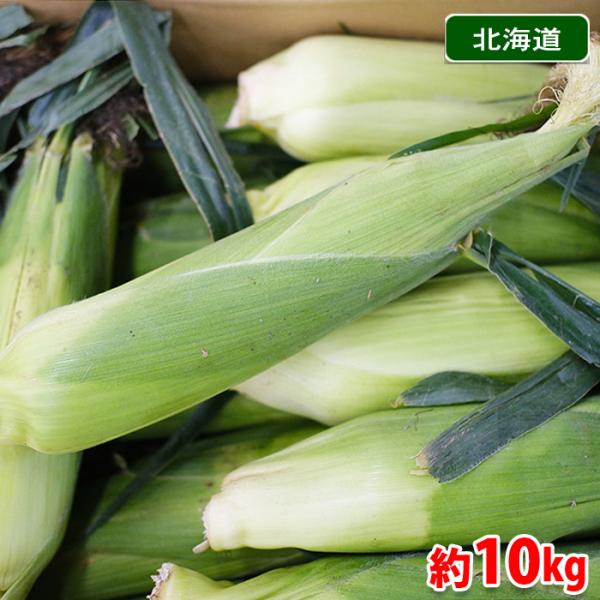 北海道の生のトウモロコシは全国の５０％近い生産量を有し、近年の物流や予冷設備が進化し鮮度の良い状態で入荷します。