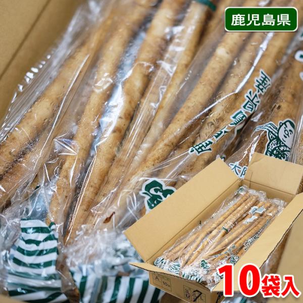 サラダごぼうは、春を呼ぶ食材とも言われています。ごぼうらしい風味、香りを生かした調理におすすめです。