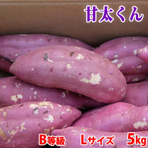 しっとり＆ねっとりした食感が人気の「紅はるか(べにはるか)」です。色味は鮮やかな紅色で高糖度の甘さと口当たりの良さがあります。収穫から出荷までの間約2か月貯蔵され、甘さが一層増した熟成さつま芋です。【こちらは訳ありのサツマイモです】サイズが...