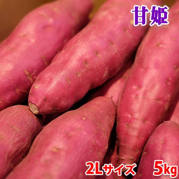 さつまいも品種として人気の「なると金時（鳴門金時）」は、主に徳島県の北部、鳴門海峡に近く砂地のある地域で生産されています。なると金時は生産される地域により各ブランド名で販売されています。「甘姫」ブランドは川内町（JA徳島市）で栽培された「な...