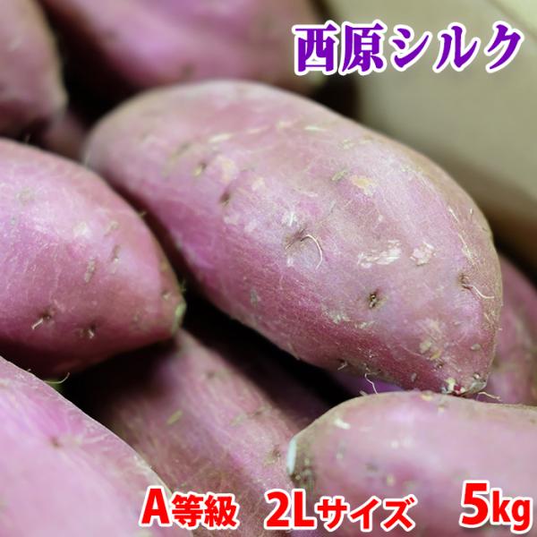 さつまいも品種「シルクスイート」は、焼き芋にしたときの滑らかな食感と甘さで人気が高い品種です。熊本県産シルクスイートとして、熊本県・阿蘇山の麓にある西原村の特産品でもある、「西原シルク」を主にお届けさせていただきます。しっとりした口当たりが...