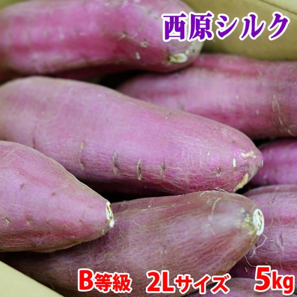 さつまいも品種「シルクスイート」は、焼き芋にしたときの滑らかな食感と甘さで人気が高い品種です。熊本県産シルクスイートとして、熊本県・阿蘇山の麓にある西原村の特産品でもある、「西原シルク」を主にお届けさせていただきます。しっとりした口当たりが...