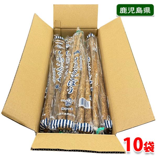 春先から市場に出回り始める早生品種の「新ごぼう」です。新ごぼうは風味がよく、皮もやわらかいのでさっと茹でただけでサラダなどにして食べられます。※入荷時期により福岡県など産地を変更させていただく場合がございます。あらかじめご了承ください。