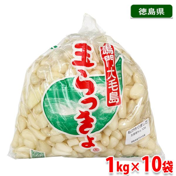すぐに漬けられるよう下処理加工した「洗いらっきょう（洗い状態のらっきょう）」です。根と茎を切り皮を剥いて塩水で芽止め処理をしてあります。お手軽に甘酢漬けや塩漬けができ、手間がかかりません。「玉・らっきょう」は、サイズが小さく丸い品種で粒が小...